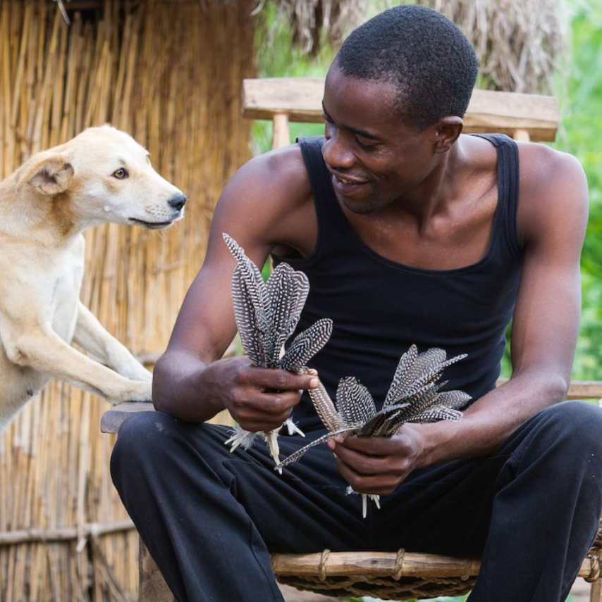 About us – Mulberry Mongoose